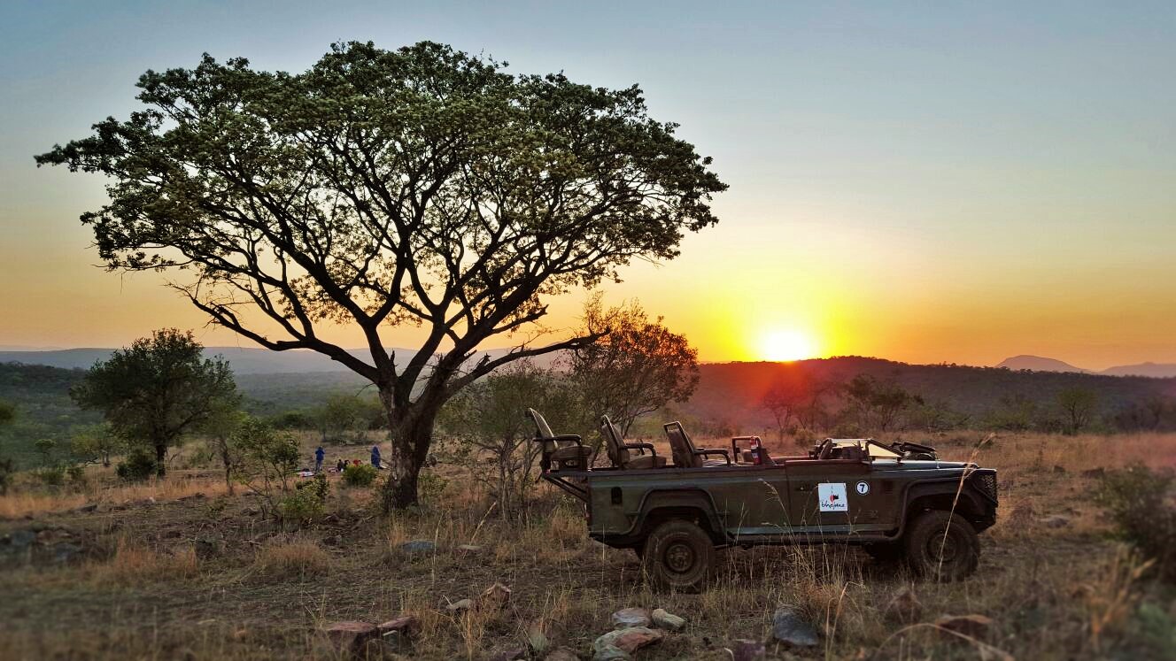 Bushwillow Collection Luxury Sand Forest Lodge
